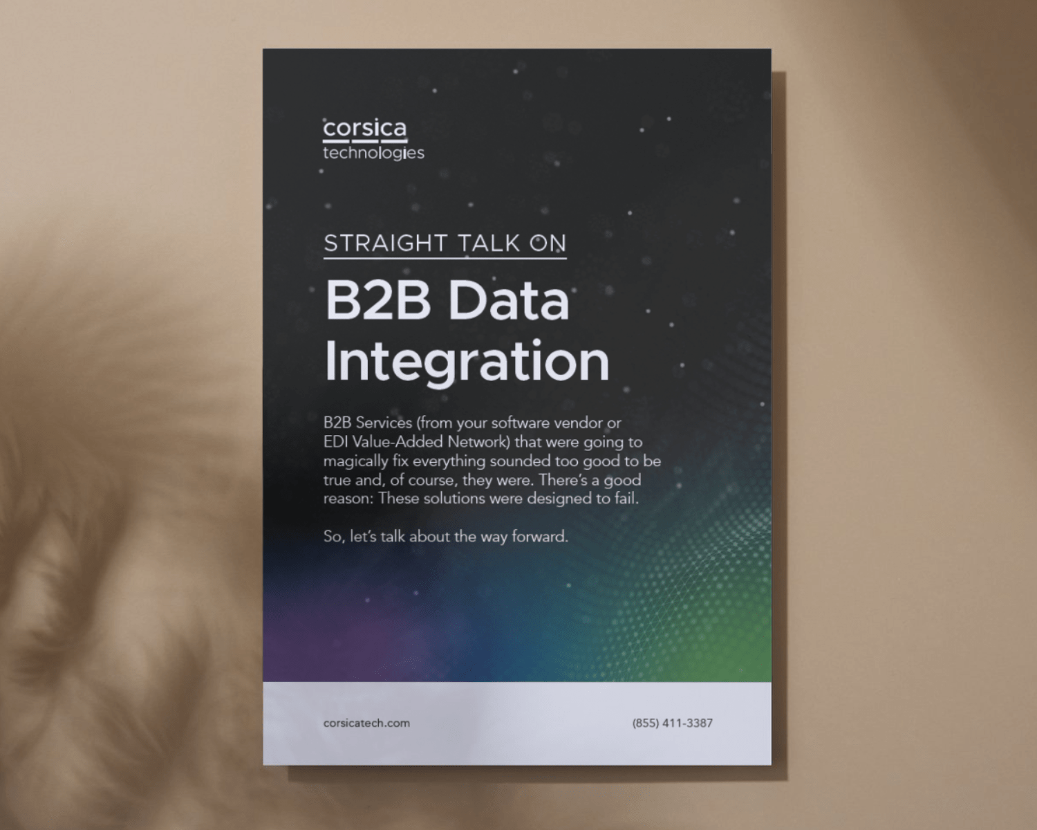 B2B Data Integration White Paper - Corsica Technologies